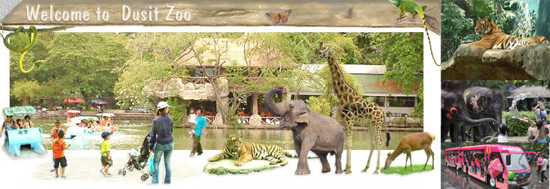 Dusit Zoo | ElatripThai